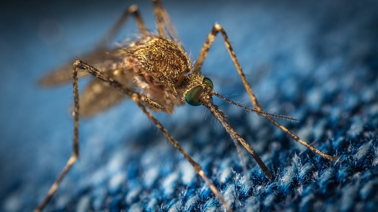 Escambia County’s Mosquito Control Division schedules fogging operation