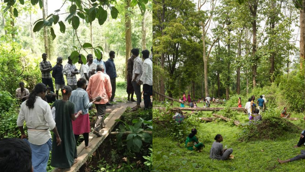 Adivasis demand halt to tiger safari push, evictions in south India forests