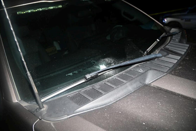Alabama link made in South Carolina wildlife officer-involved shooting