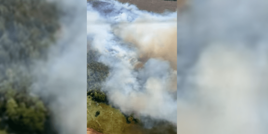 Fire start: Human caused wildfire north of Birdseye burns 40 acres in ...