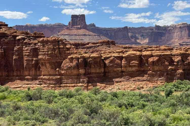 Raft Utah’s Cataract Canyon for a mild to wild adventure