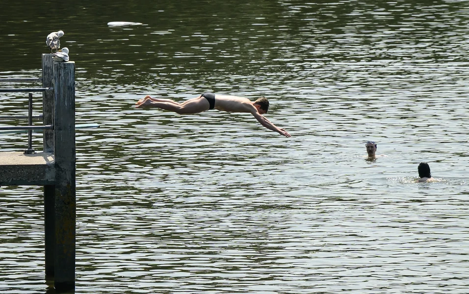 Officials warn of arrests over Hampstead Heath pond parties