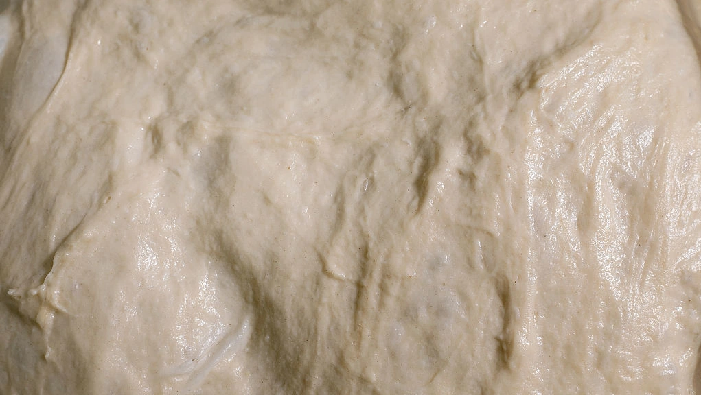 No-knead bread that feels like magic