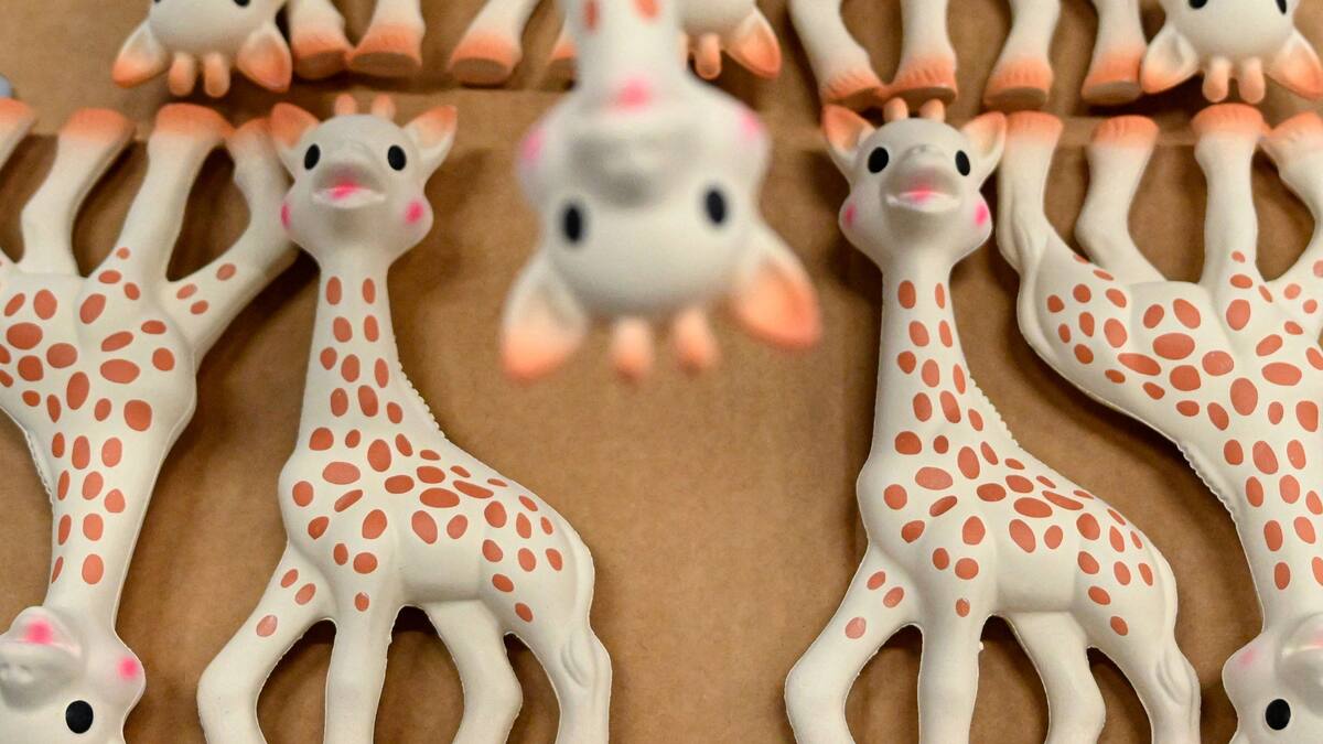 Accusé de tromperie : Perquisition chez le créateur de Sophie la Girafe
