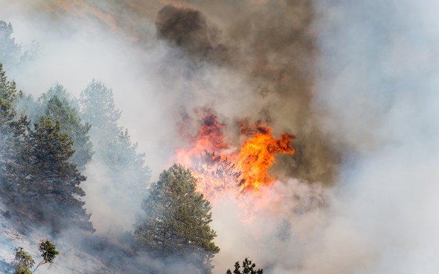 Oregon wildfire surges to 1,500 acres as crews battle against winds