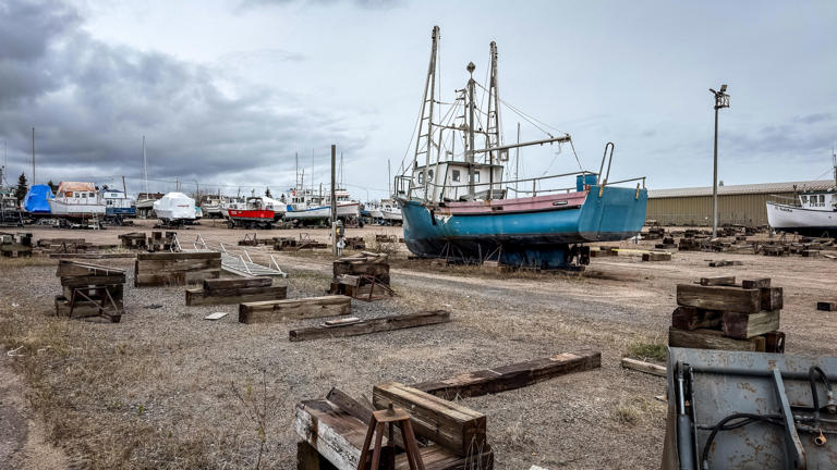 Bateaux cherchent propriétaires