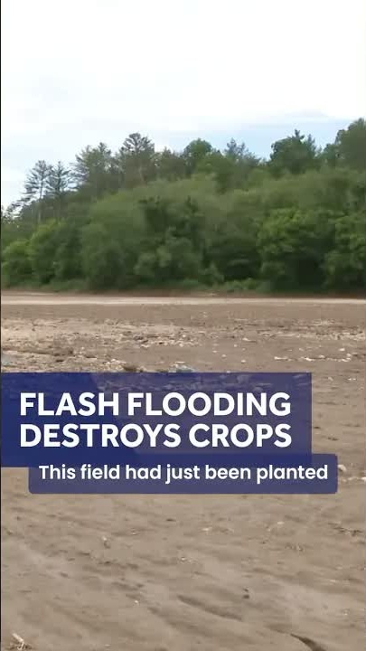 Flash flooding devastates western North Carolina farms, causing ...