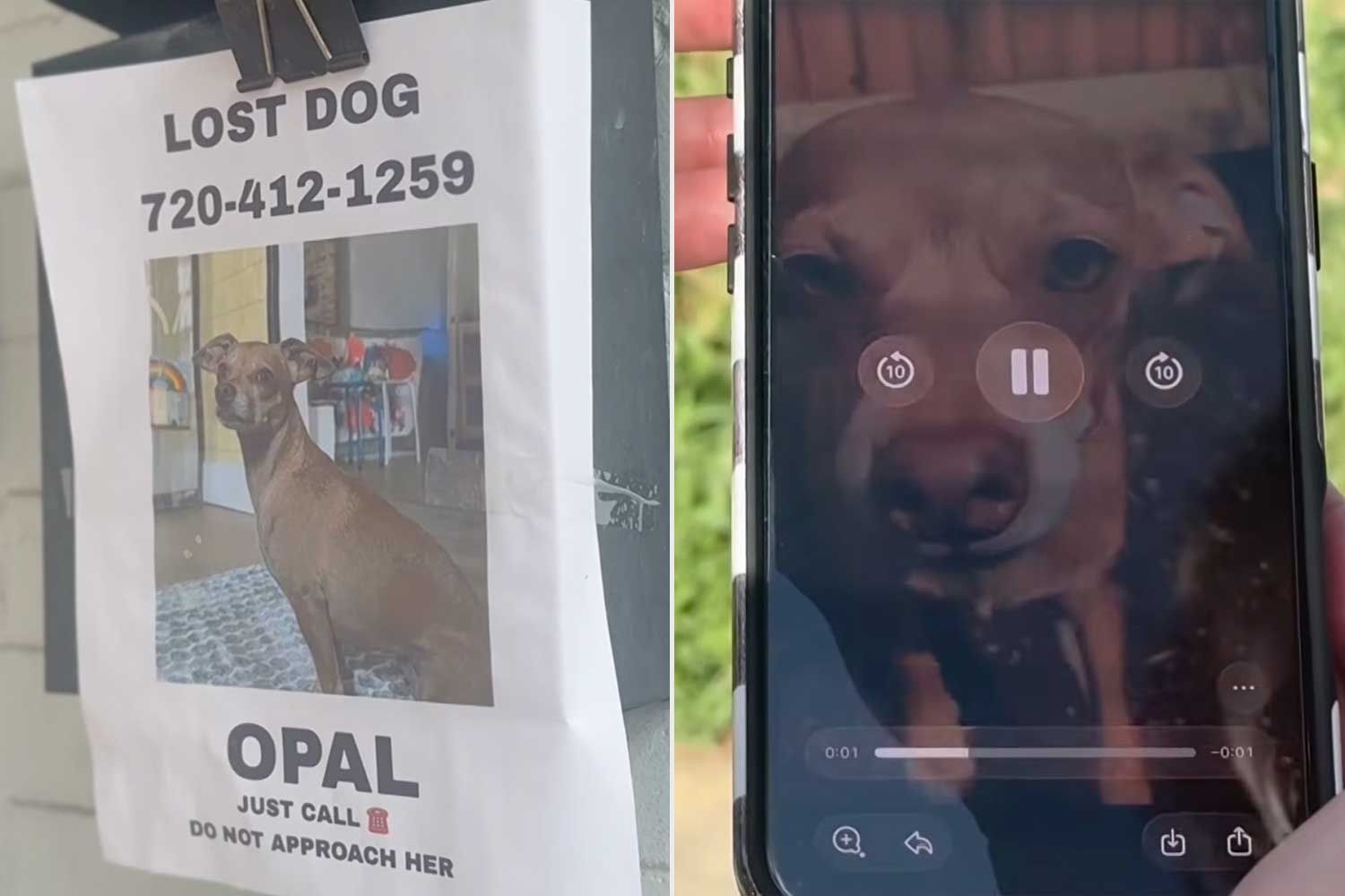 Denver woman says scammers are sending her AI-generated videos of her ...