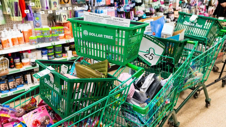 This Dollar Tree must-have will keep your frozen groceries cold this summer