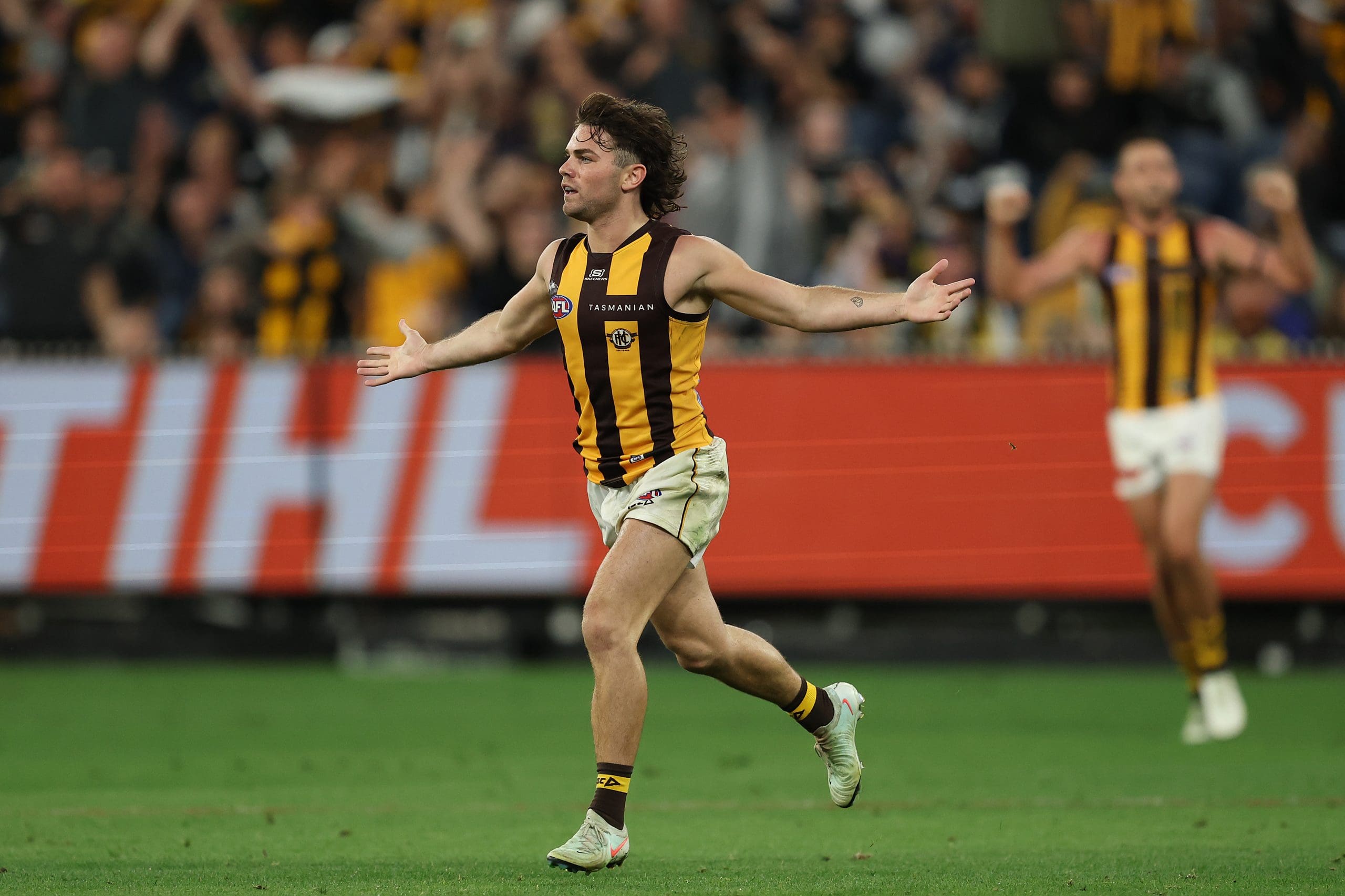 No common sense: Hawthorn demand answers over peculiar Watson-umpire call