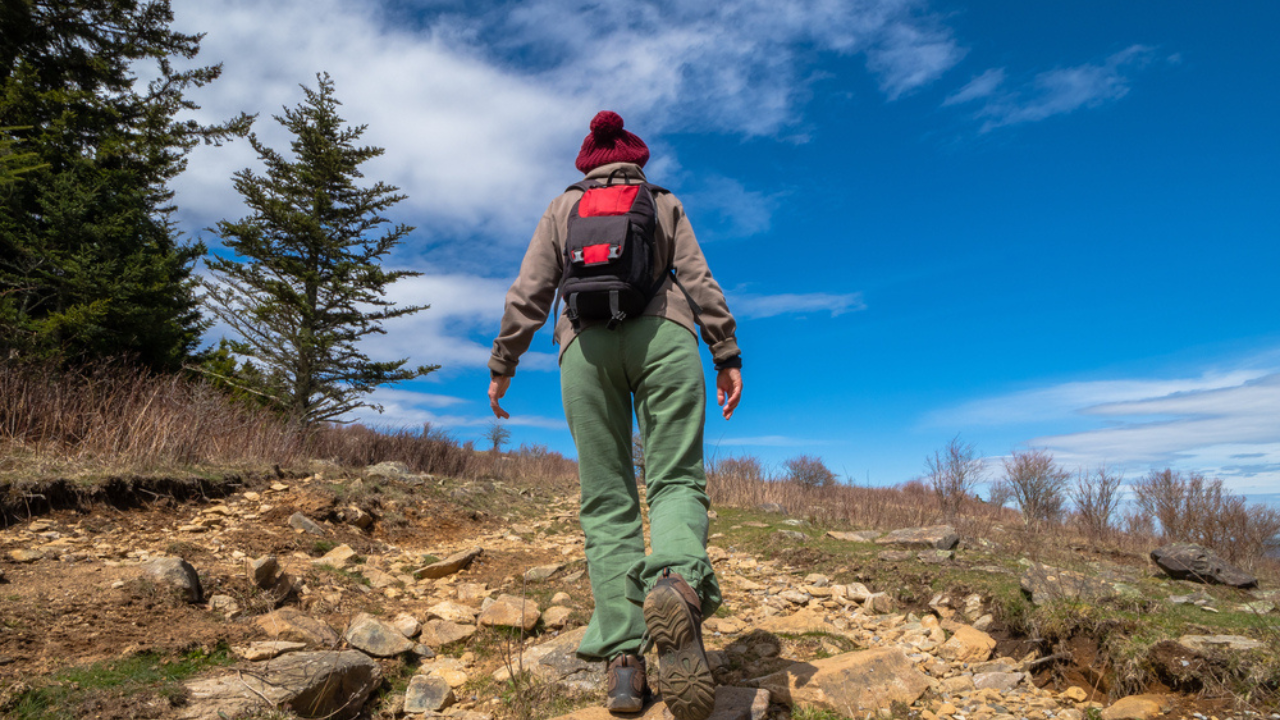 14 state parks with hiking trails, cabins, and plenty of space for kids