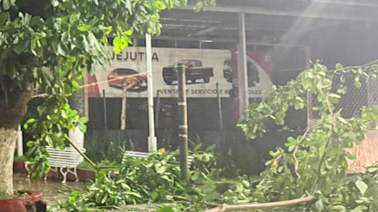 Fuerte lluvia provoca caíde de árboles, apagones y encharcamientos en ...