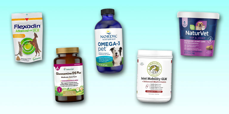 The best joint supplements for dogs