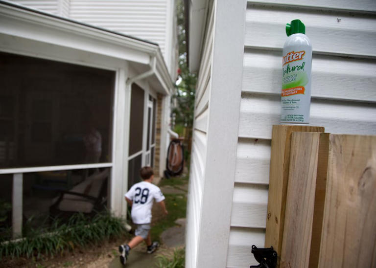Mosquitoes might outsmart humans by liking DEET