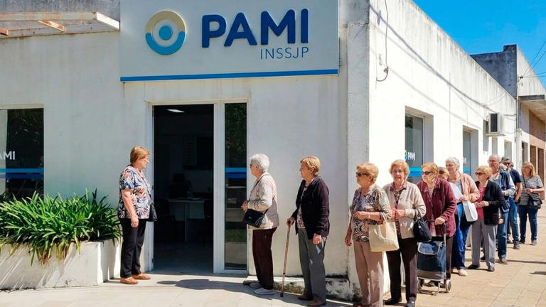 PAMI ofrece a los afiliados la posibilidad de obtener una silla de ...