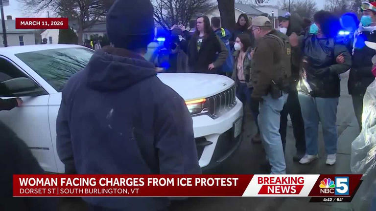 Protestor charged with simple assault for actions during March 11 ICE ...