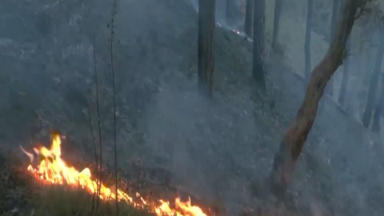 Massive fire breaks out near Shimla mental hospital, engulfs 1000 sq ft
