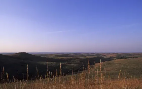 Kansas boy's 80m-year fossil find set for fair debut