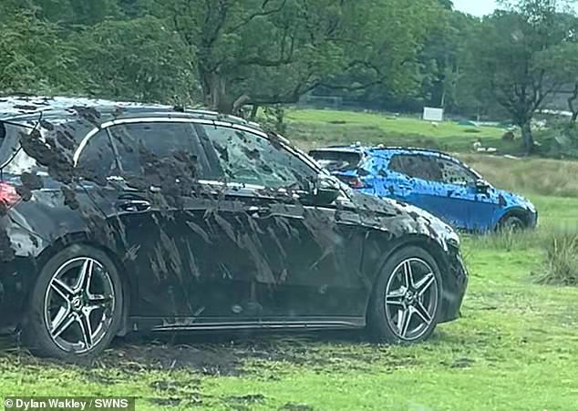Farmer says he sprayed stinking slurry over 20 luxury cars because he's ...