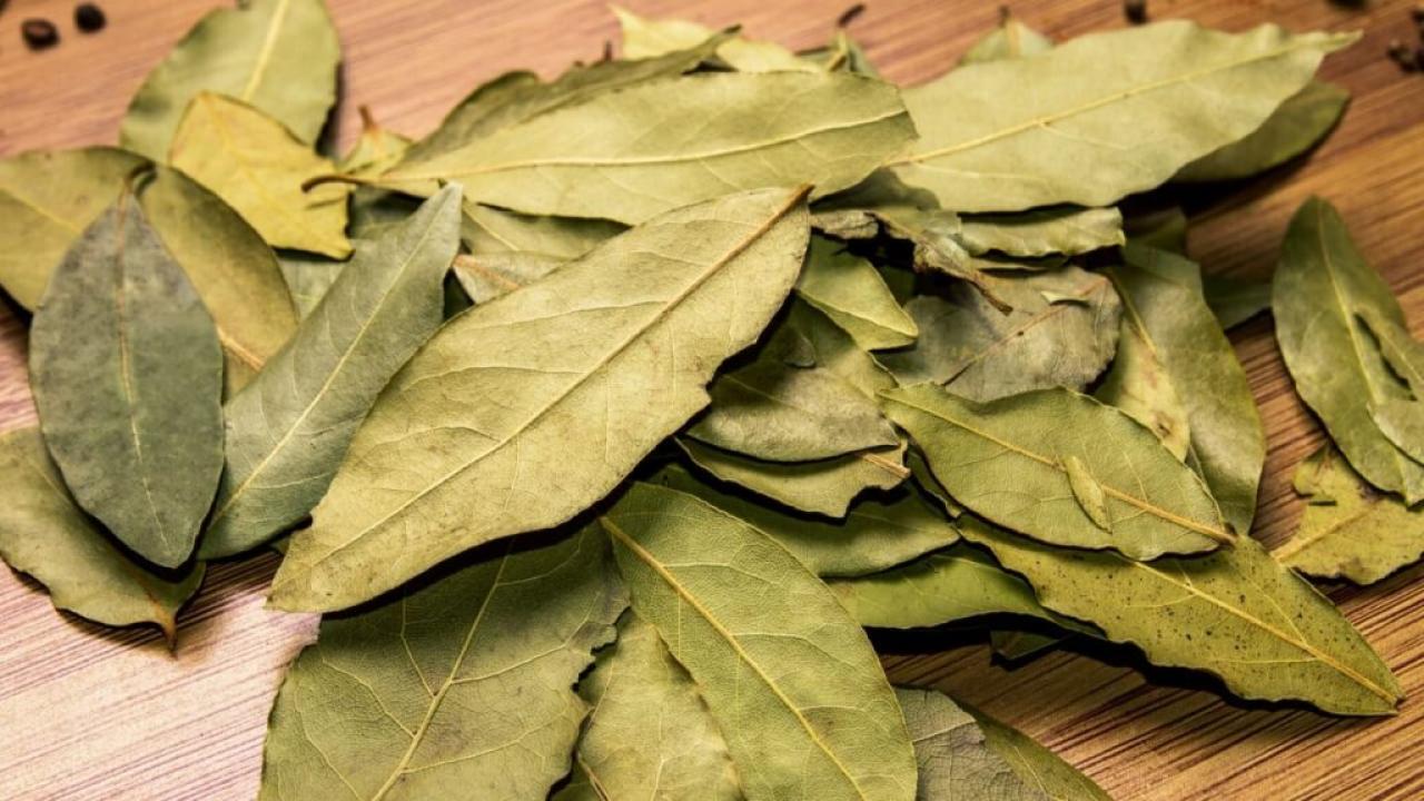 Da canela à folha de louro: rituais para atrair mais 'dindim' pro bolso