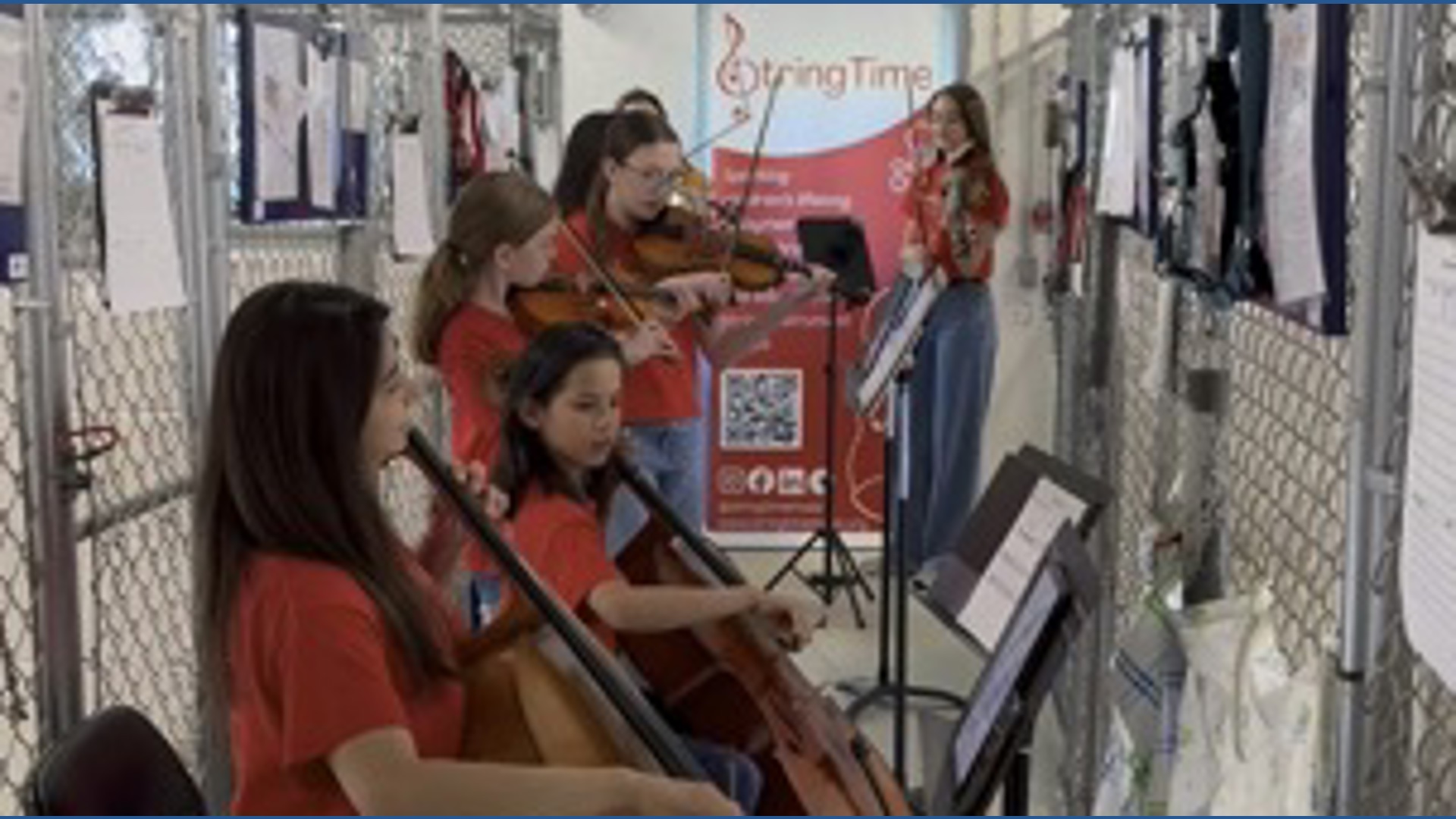 Volunteer musicians perform for shelter dogs in Alexandria, VA