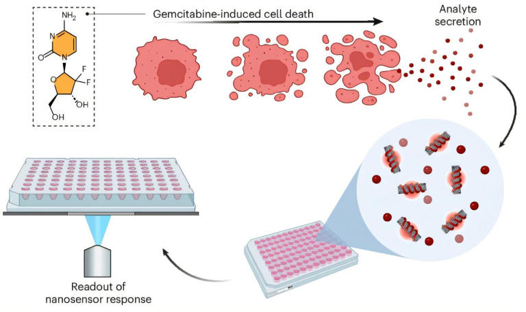 Nanotube-coated catheter could detect bladder cancer biomarker 50,000 ...
