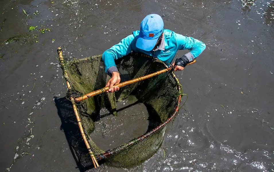 Global report highlights community-led marine conservation gains
