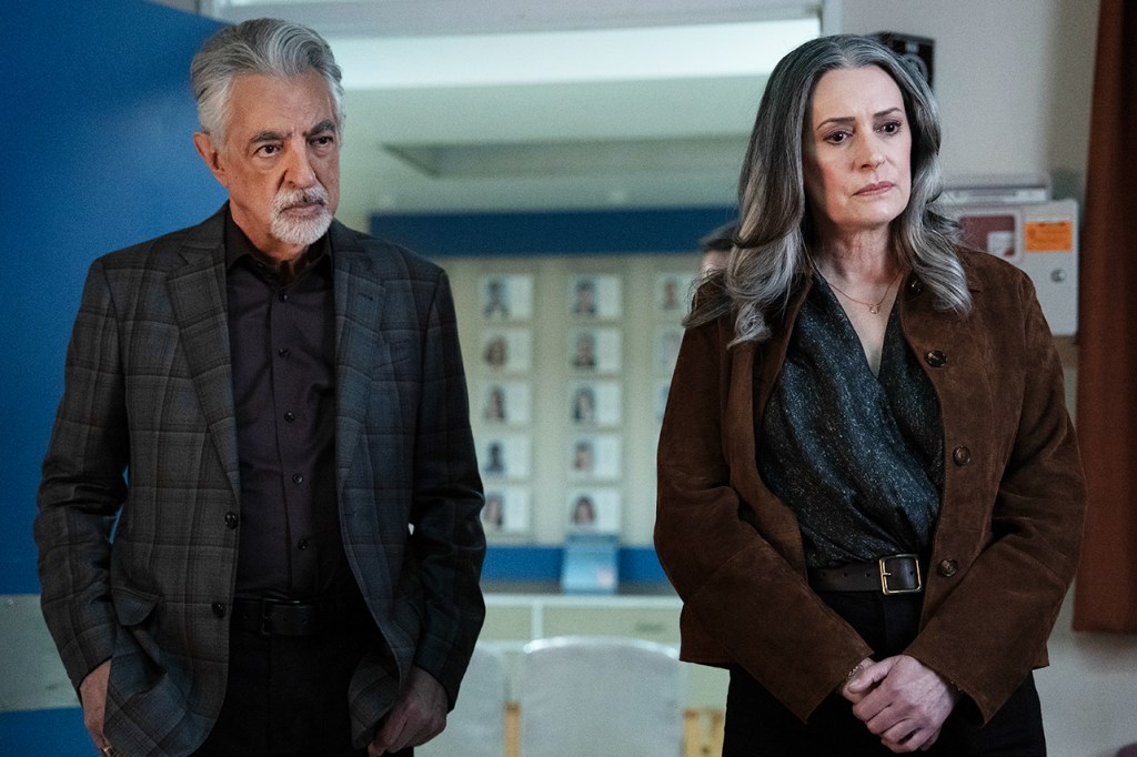 When is ‘Criminal Minds: Evolution’ on Paramount+? ‘Criminal Minds ...