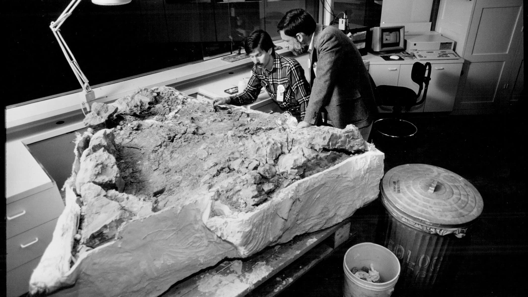 Toothless bipedal croc relative from Triassic named Labrujasuchus