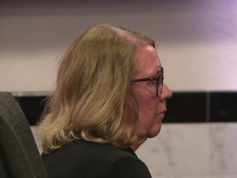 Former Washoe judge Bridget Robb pleads guilty in stalking case