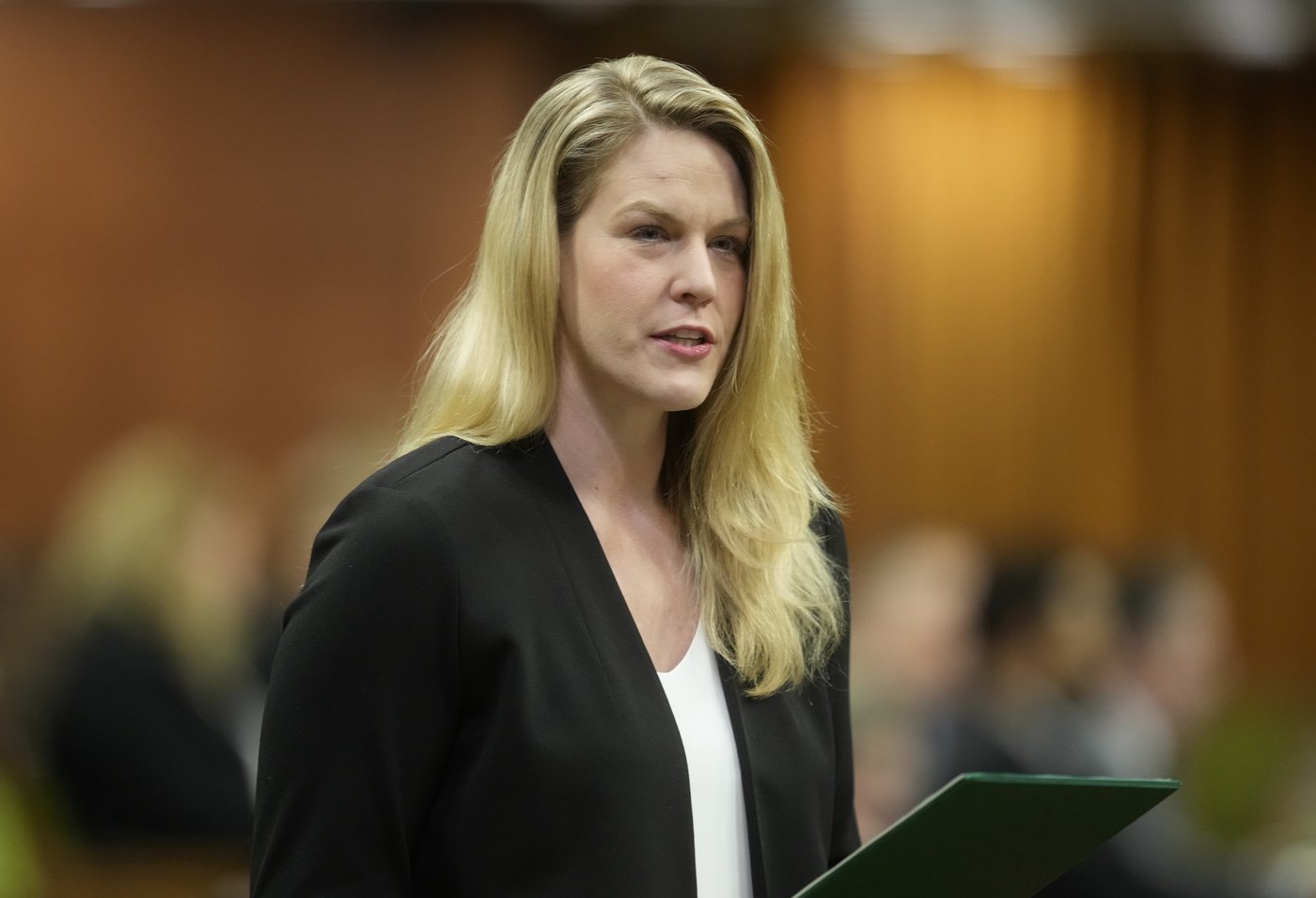 Liberals say they can’t overturn decision tripling streamers' Cancon ...