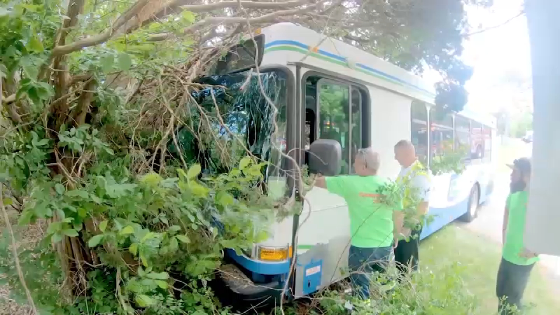 6 people transported to hospital after Cape Cod bus crash
