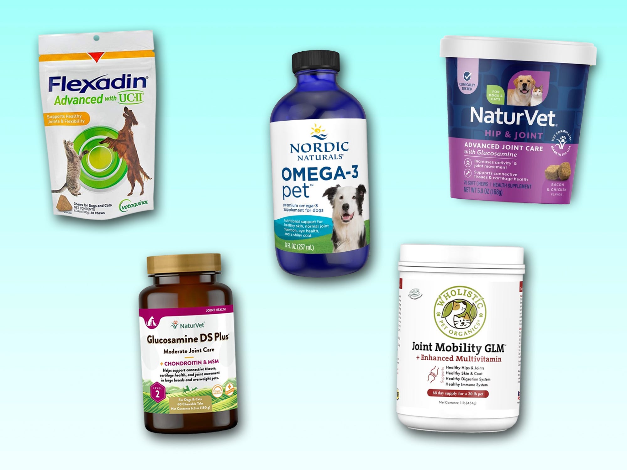 The best joint supplements for dogs