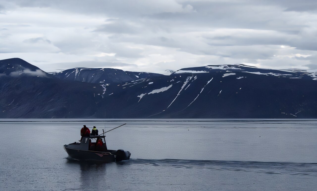 How do you know a bowhead whale is feeding? It's all in the way it ...