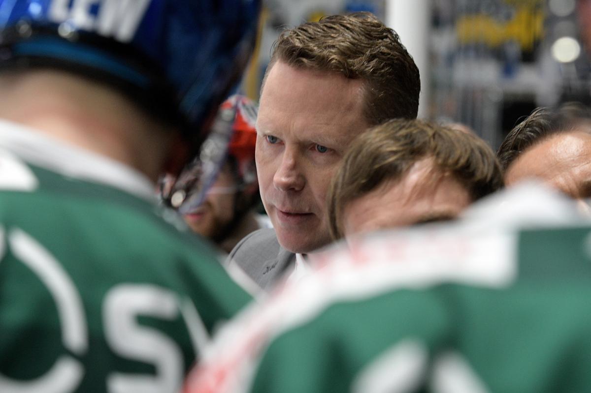 Ex-Panther-Trainer Mike Stewart hat einen neuen Job