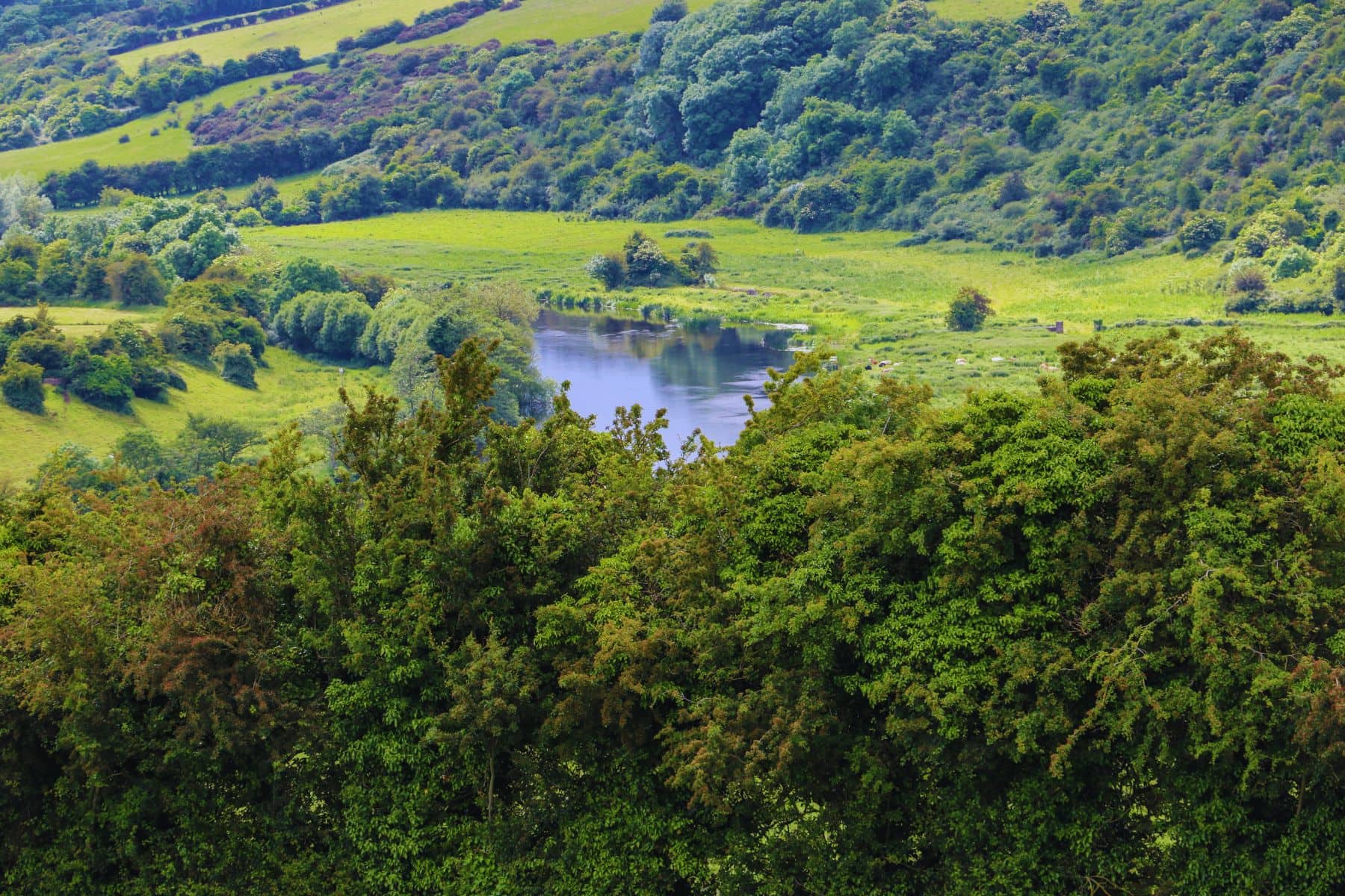 Ancient wonders and pastoral beauty: Ireland’s Boyne Valley beckons ...
