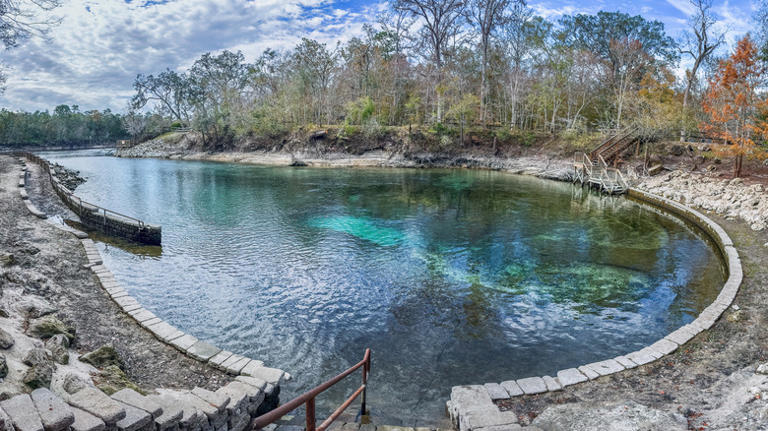 Florida's alluring natural springs are an underrated swimming and ...