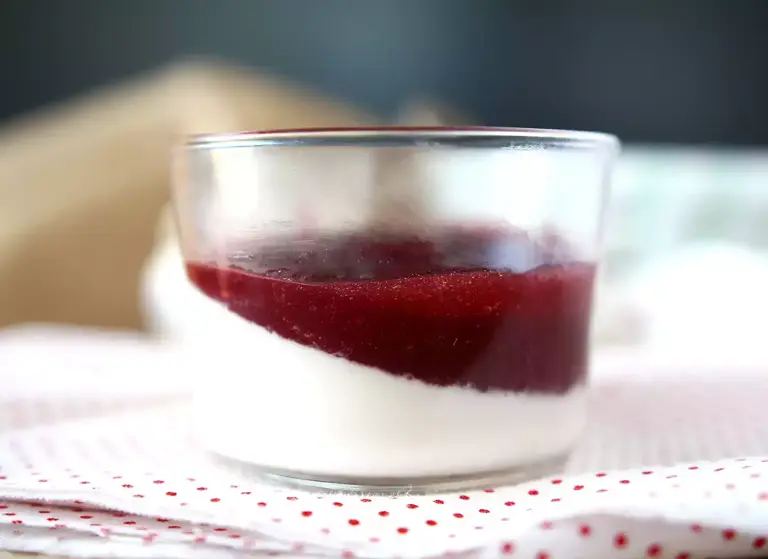 Panna cotta met bessencoulis