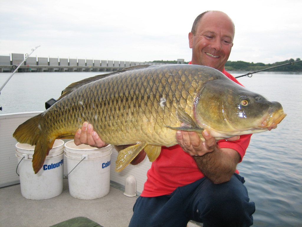 An invasive species is quietly spreading across America as the damage ...