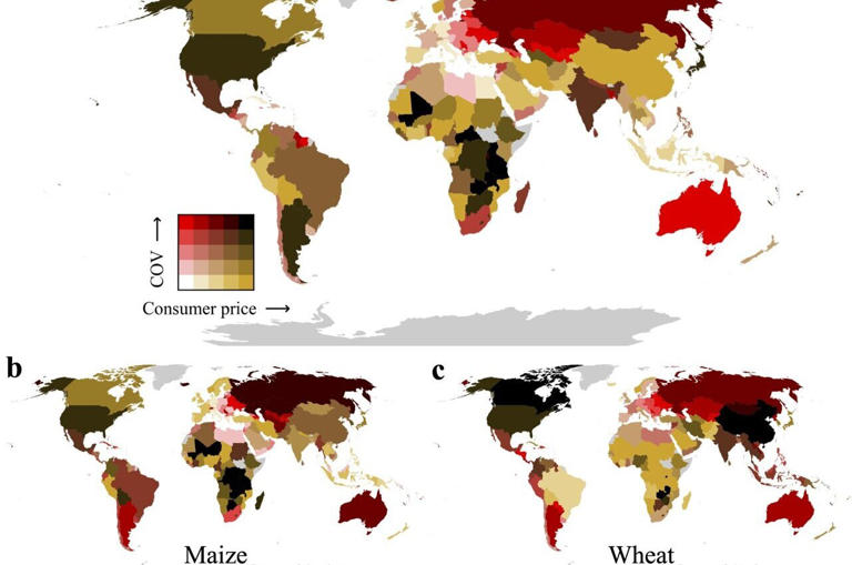 Global food shock model reveals self-sufficiency alone may not prevent ...