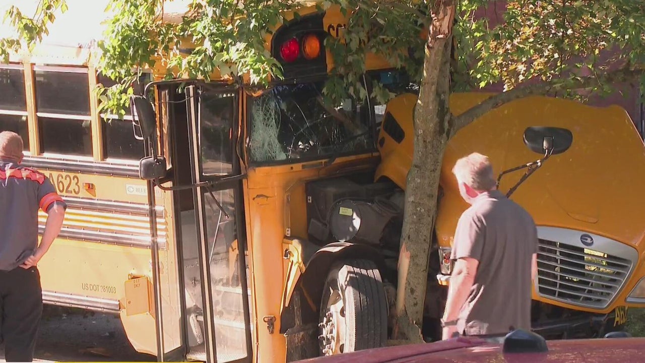 School bus crashes into tree