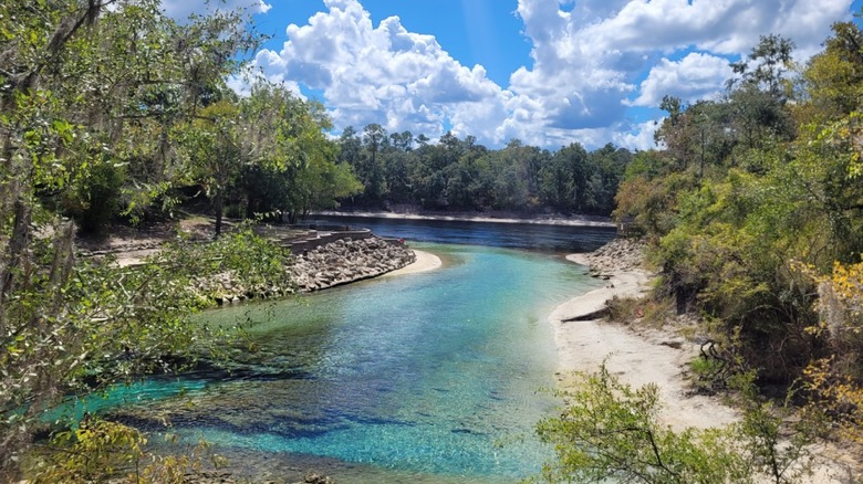 Florida's alluring natural springs are an underrated swimming and ...