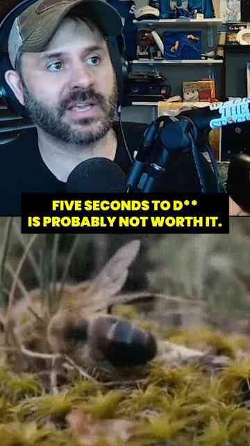 Animal Planet after dark