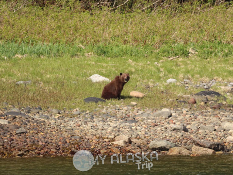 Unique Inside Passage adventure: Expedition with the Boat Company