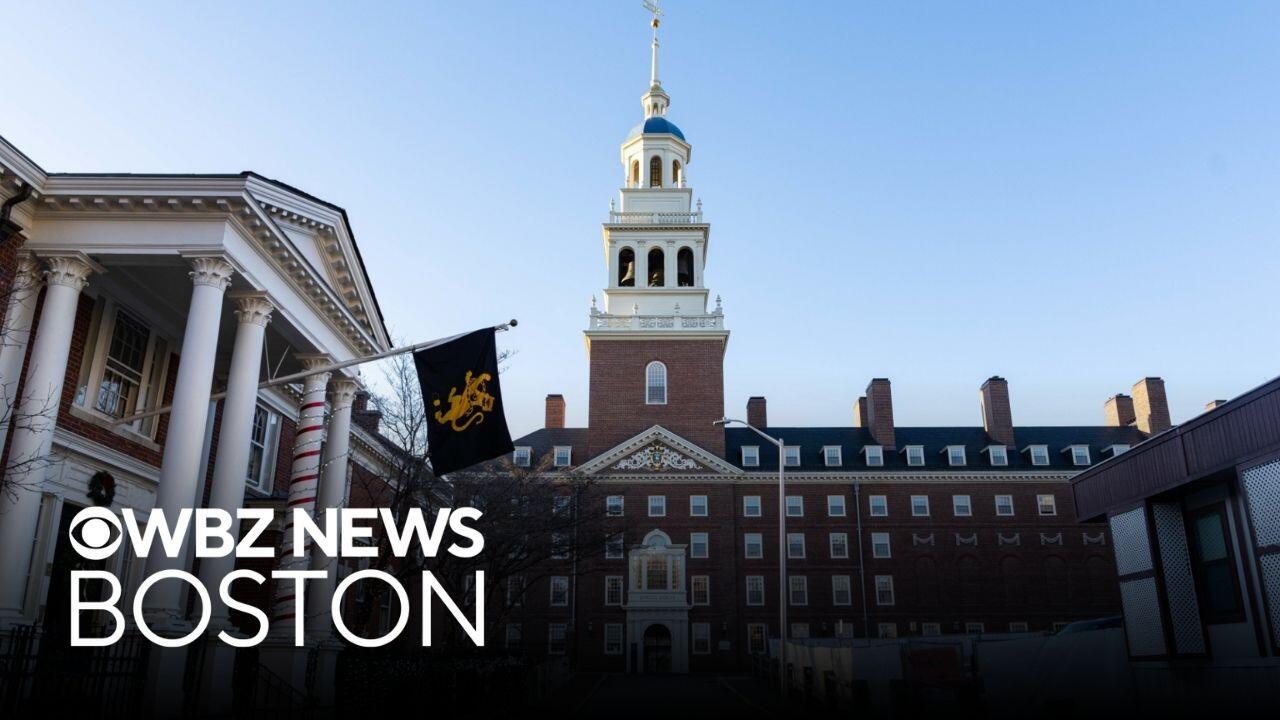 Harvard University graduate describes fear after hearing about alleged ...