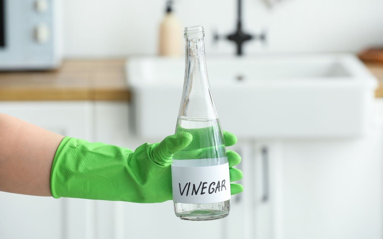 Desde que comecei a usar vinagre para limpar o vaso sanitário, meu ...