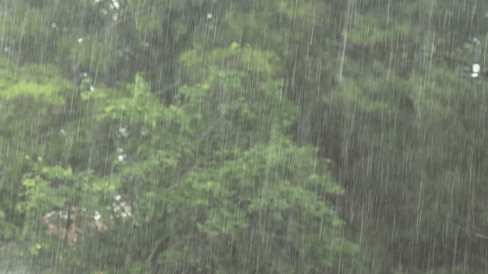 Rainfall improves drought across WNC and Upstate