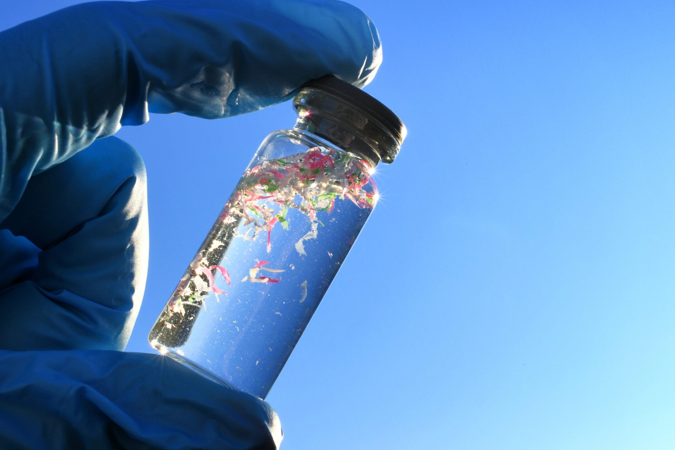 Microplastics may be weakening the ocean’s ability to fight climate change