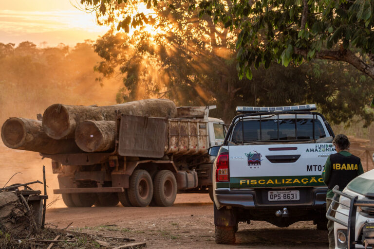 Brazil Congress passes bill to bar use of Amazon deforestation ...