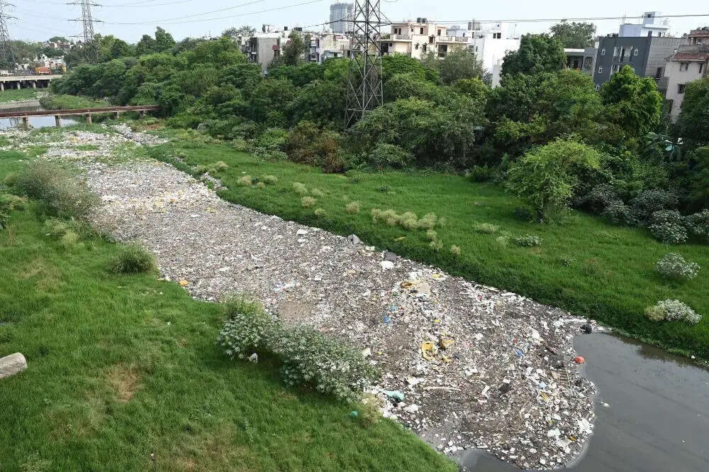 Authorities dispute sewage discharge responsibility